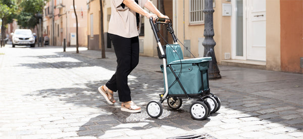 Walker Trolleys | Carlett