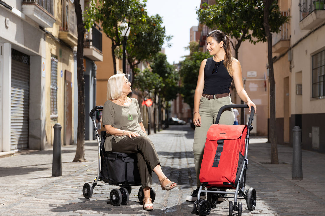 Foldable shopping trolleys - Free Shipping#N# | Carlett