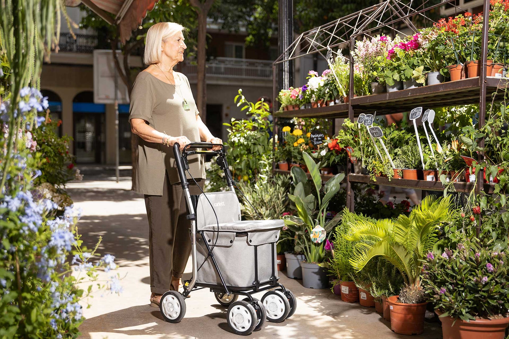 Shopping trolleys | Buy shopping trolleys - Free Shipping | Carlett