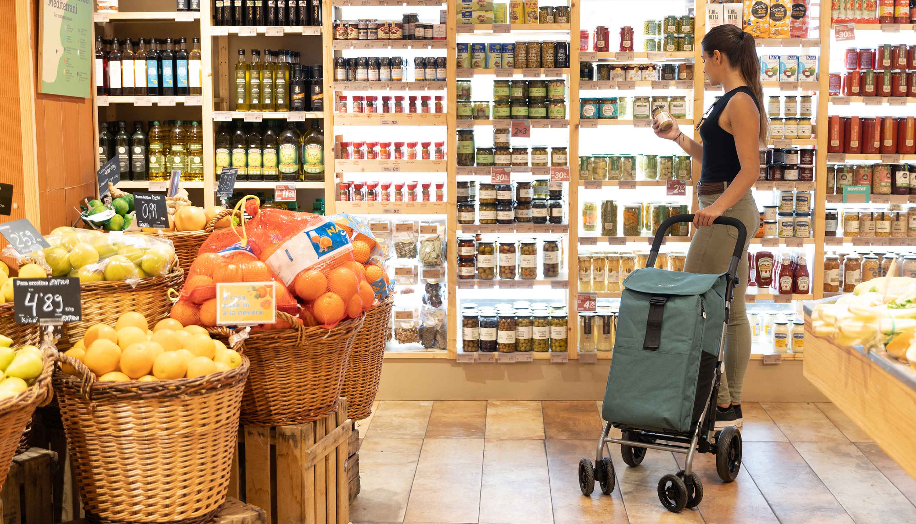 Foldable shopping trolleys - Free Shipping#N# | Carlett