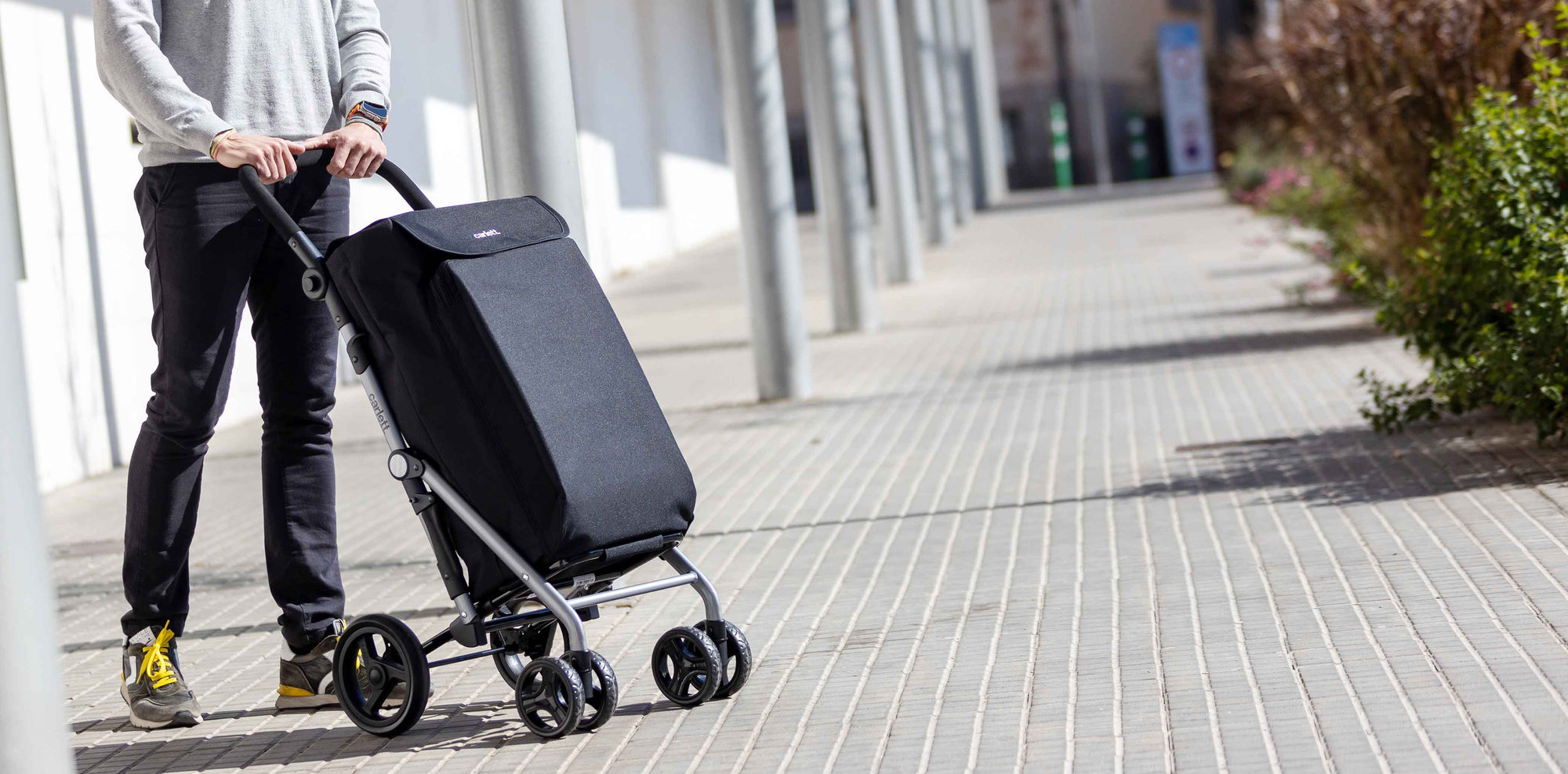 Carro compra Lite | Carlett | Carlett